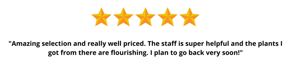 New Coley | Halifax / Keighley Road, Denholme, West Yorkshire BD13 5EA